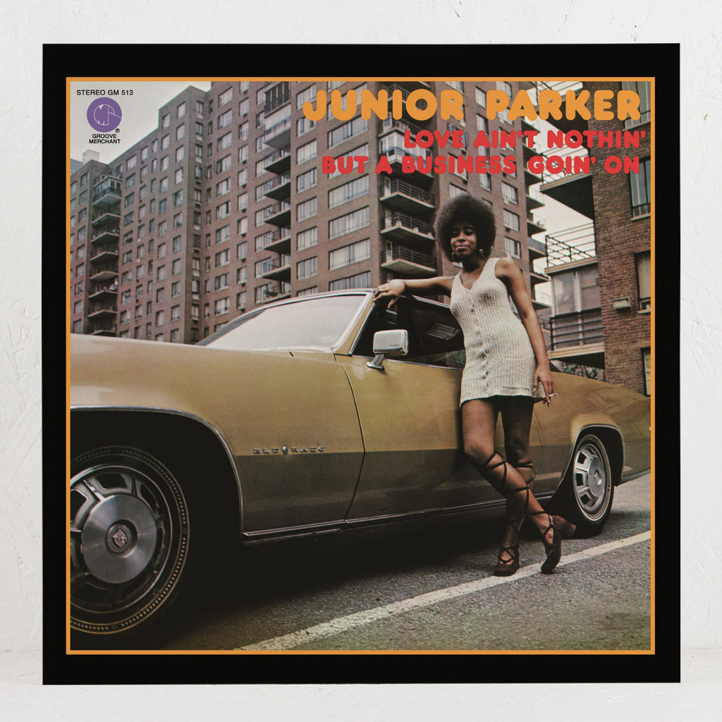 Collections – Mr Bongo