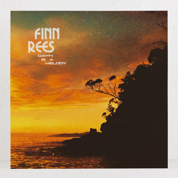 Collections – Mr Bongo