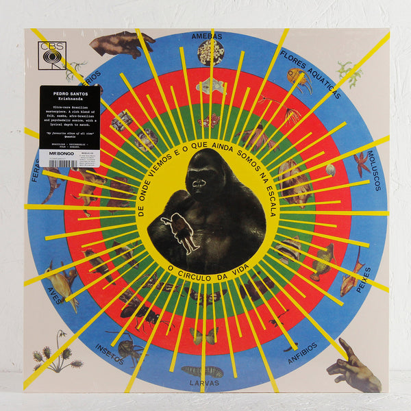 Pedro Santos - Krishnanda - Vinyl LP/CD – Mr Bongo